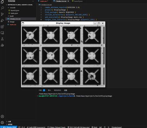 vscode wsl2 opencv openimagedebugger 知乎