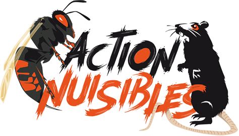 Solutions Durables Action Nuisibles Destruction Nid De Frelons Et