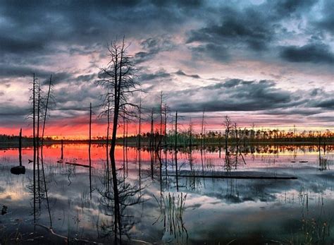 Васюганские болота