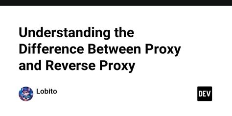 Understanding The Difference Between Proxy And Reverse Proxy Nelson Silva