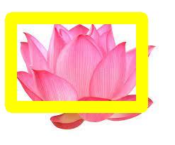 Guide To OpenCV And Python Dynamic Duo Of Image Processing