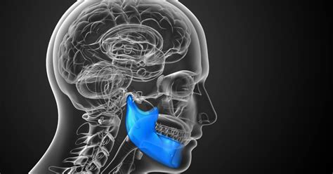Realign Your Misaligned Jaw And Book An Appointment With An Orthodontist Chomp Orthodontics
