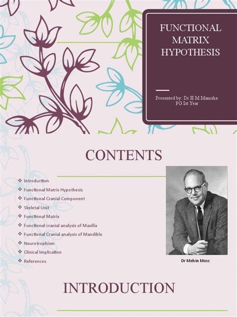 Functional Matrix Theory Pdf Skull Bone