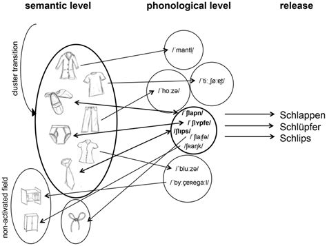 model for enhanced semantic and phonemic word relatedness within