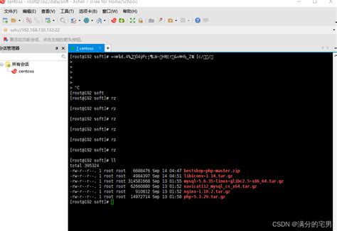Linux安装lnmp测试环境 极客之音