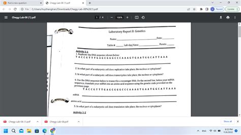 Solved Activity 1 1 1 Replicate The Dna Sequence Shown