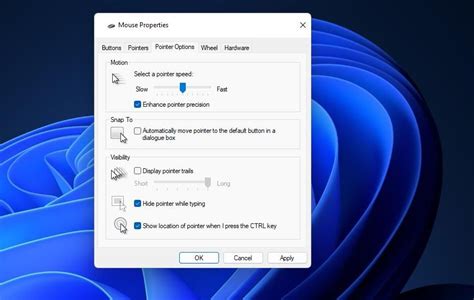 how to highlight the mouse cursor in windows 10 and 11