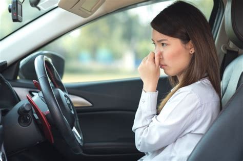 Como Quitar Los Malos Olores Del Coche