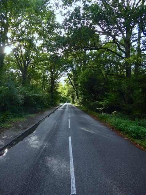 Hollywater Road © Simon Carey Geograph Britain And Ireland