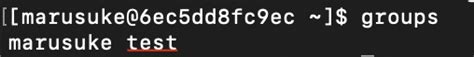 【linux】ファイルやディレクトリの所有グループの変更：chgrp Marusukes Blog