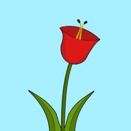 Tulip By Kolbyba8 On Newgrounds