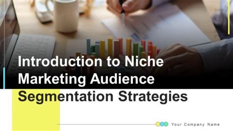 Audience Segmentation Strategies Powerpoint Templates Slides And Graphics