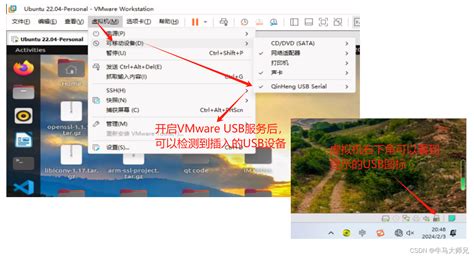 Vmware无法检测到插入的usb设备，虚拟机插拔usb无反应linux牛马大师兄 华为开发者空间