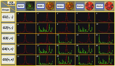 Multiplexed Assays For Qualitative Detection Of Mouse Igg And Rabbit