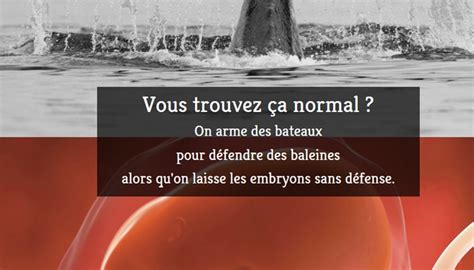 Fondation Lejeune Le Nouvel Obs Au Pilori Ojimfr