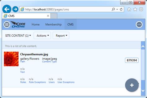 Code On Time Adding Integrated Cms To An Existing Application
