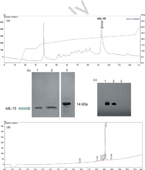 Rp Hplc Chromatographic Profile Identification And Purity Analysis Of Download Scientific