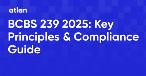 Bcbs 239 2025 Key Principles And Compliance Guide