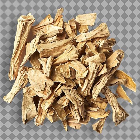 Astragalus Root Type Of Herb Astragalus Membranaceus Form Of Isolated