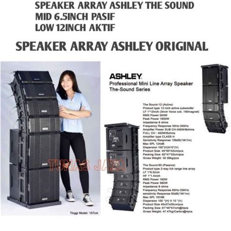 Jual Paket Professional Mini Line Array Speaker Ashley The Sound Series