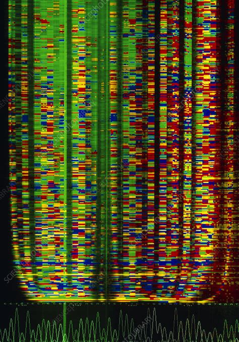 DNA Sequence Stock Image G210 0879 Science Photo Library