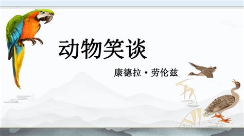 第17课动物笑谈课件2022 2023学年部编版语文七年级上册共18页 21世纪教育网