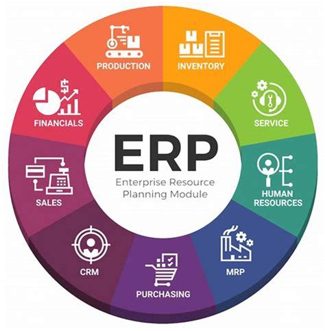 Erp Là Gì Oracle Netsuite Erp Giúp Gì Cho Doanh Nghiệp Btm Global