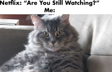 My Brother Meme By Meme Chungus908 Memedroid