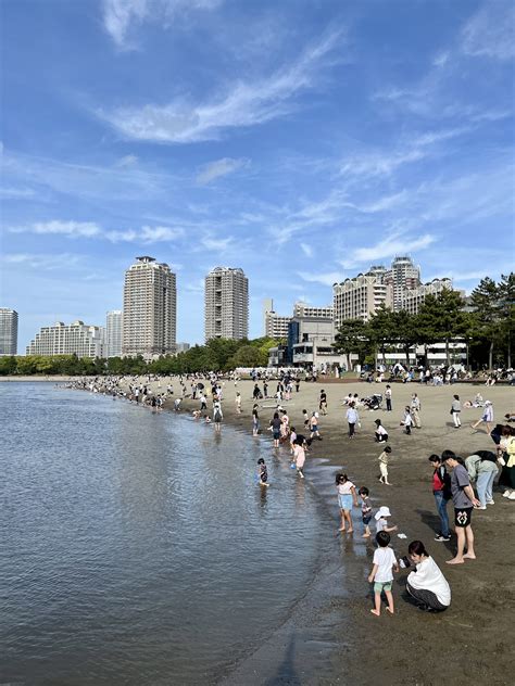 东京御台场海滨公园半日游