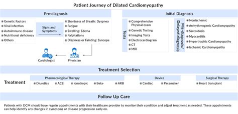 Shifting Paradigms In Dilated Cardiomyopathy Treatment
