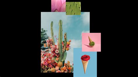 Jaywalking Website Design Behance