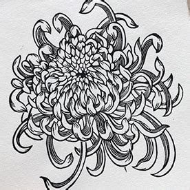 Заяц Хваста on Behance