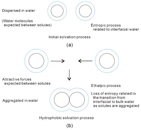 The Hydrophobic Effects Our Current Understanding