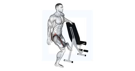Cable Hip Adduction Guide Benefits And Form