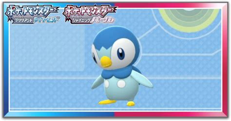 【ポケモンダイパリメイク】ポッチャマの進化レベルとおすすめの性格【bdsp】｜ゲームエイト