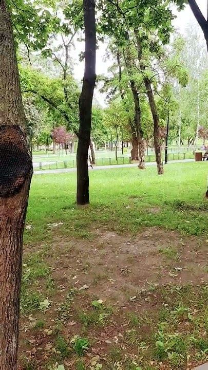 Білочка Youtube