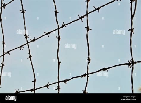 Sting Wire Detail Close Up Demarcation Delimitation Asia Civil War Wire