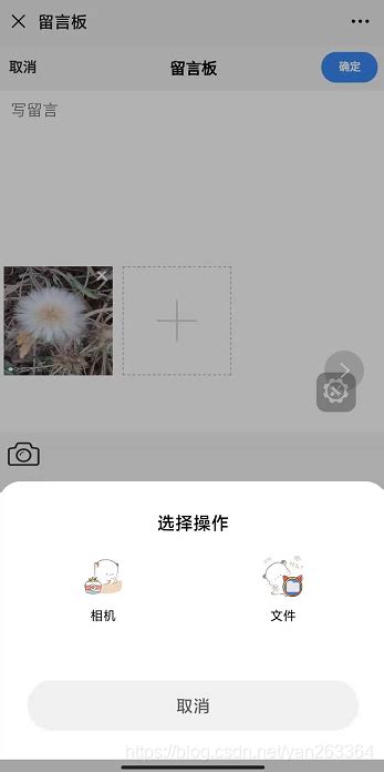 原生js调用手机拍照功能