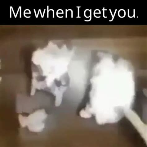 Me When I Get You Memes Comedy Shorts Youtube