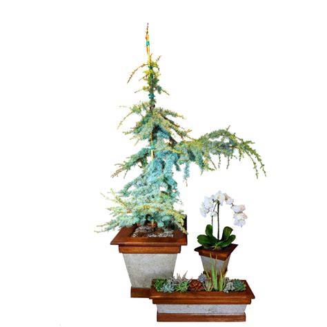 Plant Pots And Accessories Flyleaf