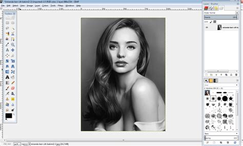 how to make a photo black and white gimp at virginia atkins blog
