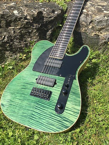 Custom Bariton 7 String Telecaster Reverb