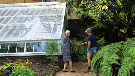 Cool Fernery Reopens Chelsea Physic Garden