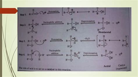 Nucleophilic Addition Of Carbonyl Compoundspptx