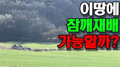 고소득 작물 재배를 위한 농지임대 Youtube