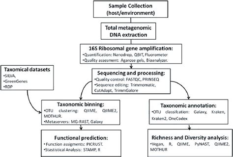 Genomic And Metagenomic Techniques For The Analysis In Different