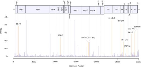 Sars Cov 2 Spatial Structure 2 New Evidence From Rna And Protein Sequences Ncov 2019 Genomic