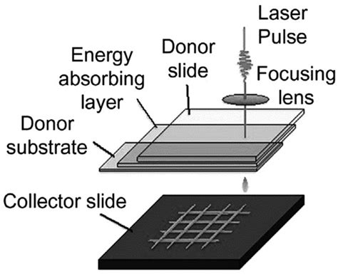 5 Laser Assisted Bioprinting Huh Et Al 2020 Download Scientific