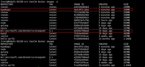 【one By One系列】一步步学习docker（三）——实战部署dotnetcore Garfield 加菲的博客