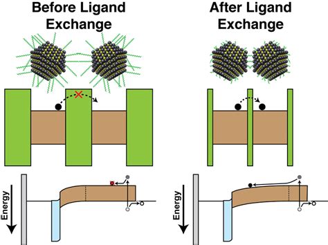 8 Interface Engineering To Enhance Charge Carrier Collection In Qdpvs